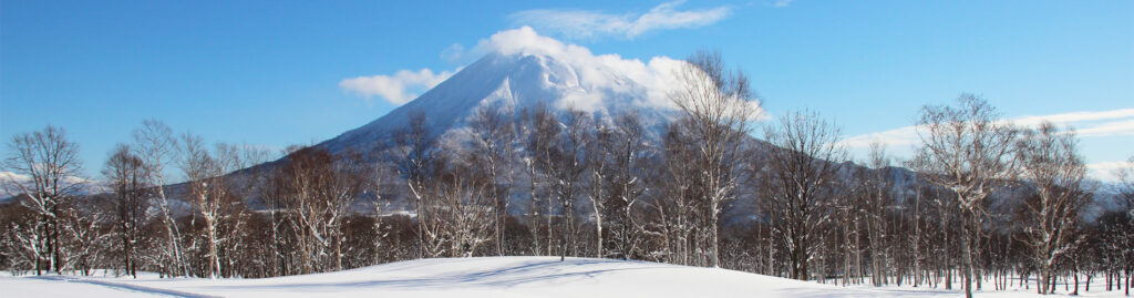 Snow Rafting – Hokkaido Lion Adventure